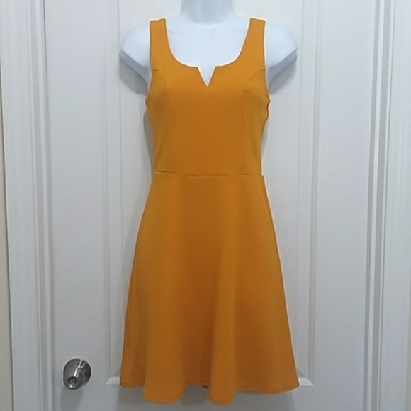 Planet Gold | Dresses | Planet Gold Fit Flare Dress | Poshmark